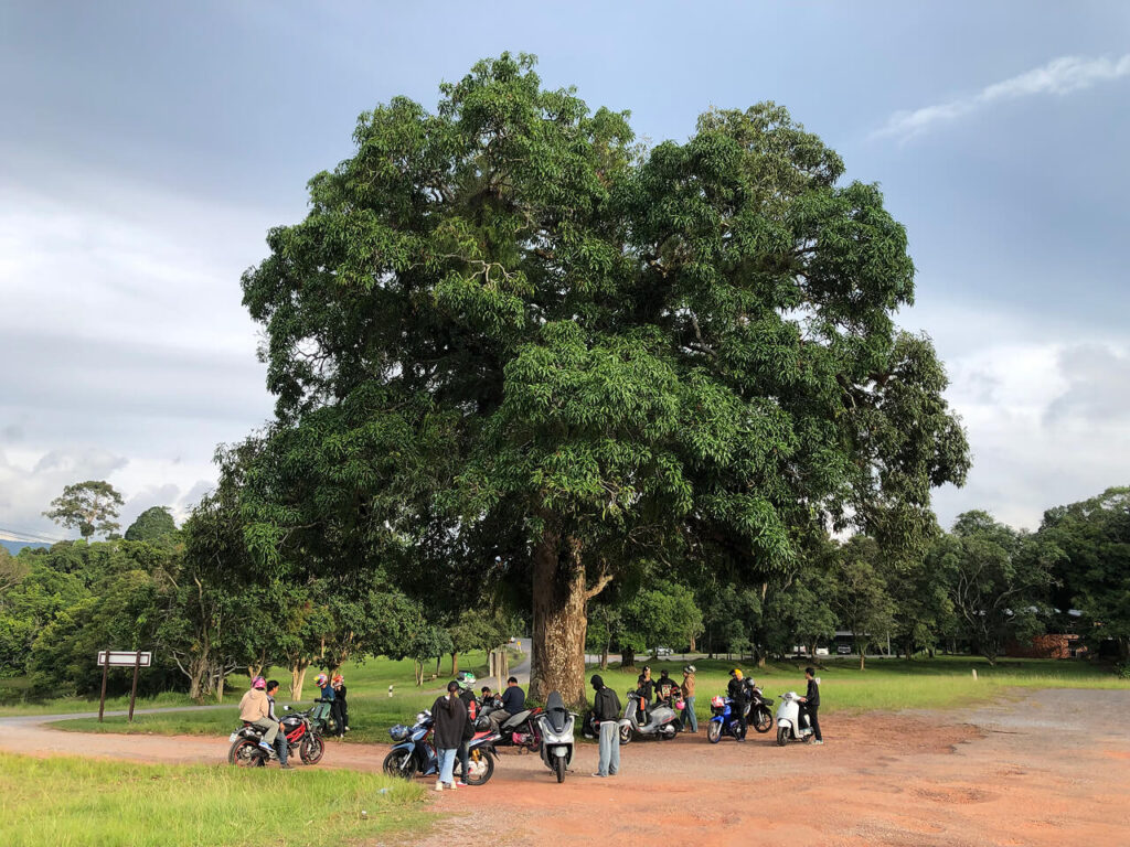 Khao Yai National Park Guide: Wildlife, Trails & Tips