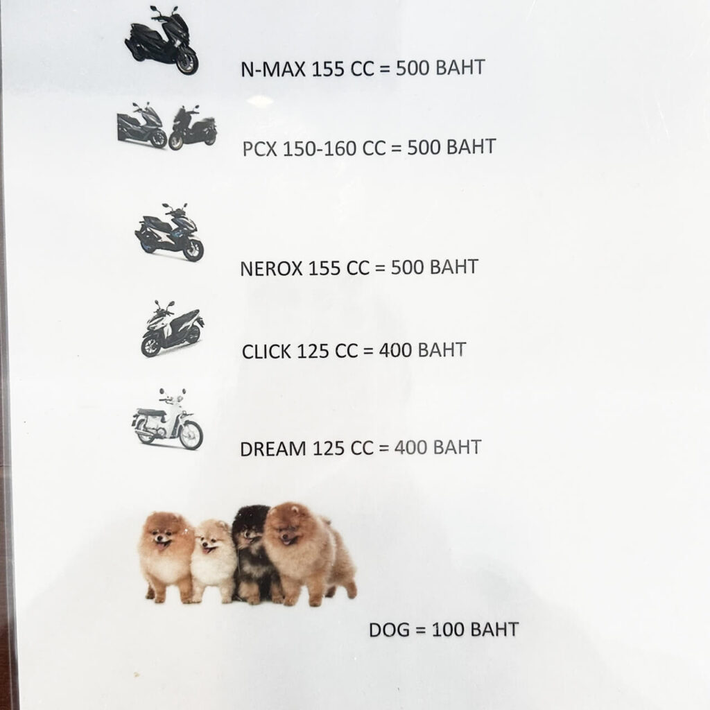 ⛴️ Koh Samui – Koh Phangan Ferry Schedule & Prices
