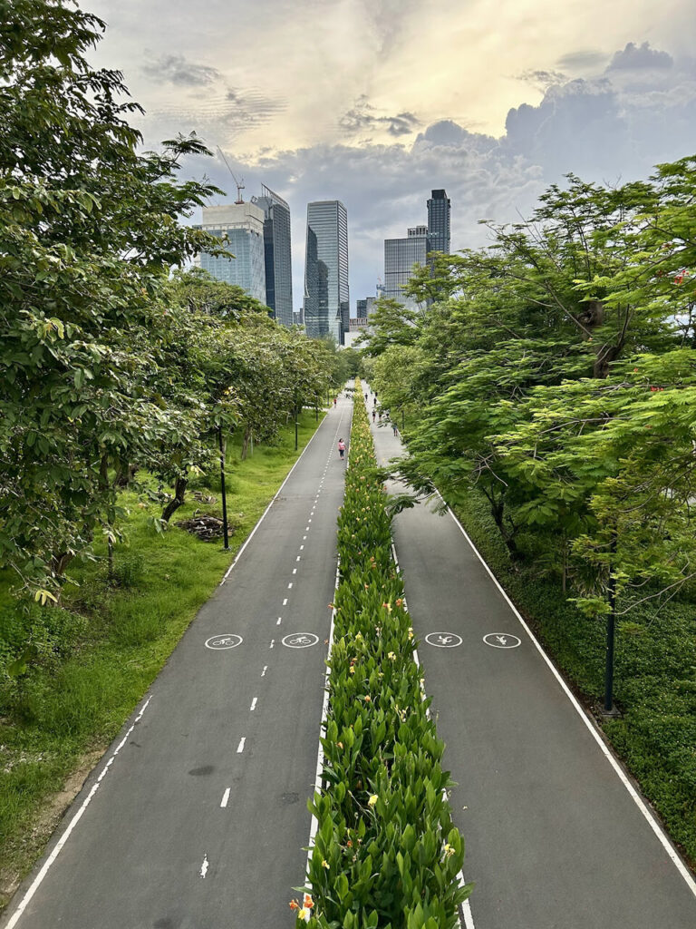 🌲 Best Parks in Bangkok for Walks, Workouts & Views