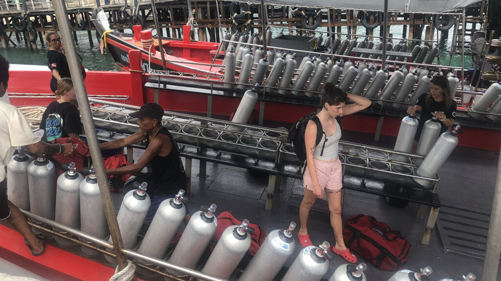 🤿 Koh Tao Open Water Diving Course: My Experience