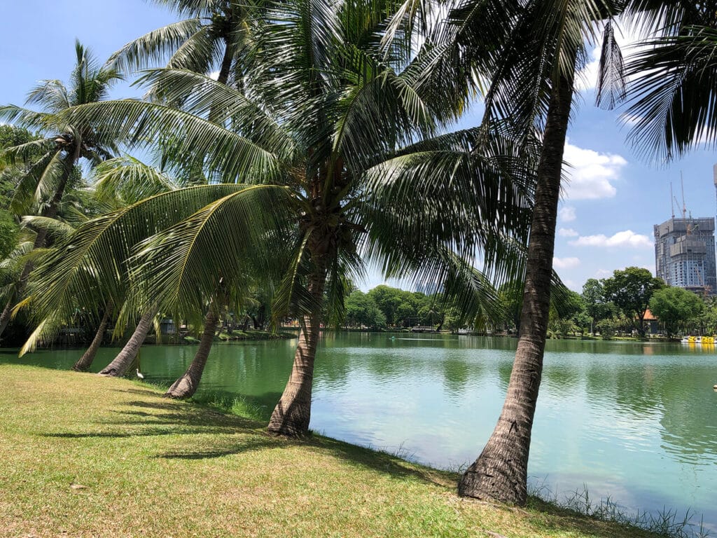 🌲 Best Parks in Bangkok for Walks, Workouts & Views